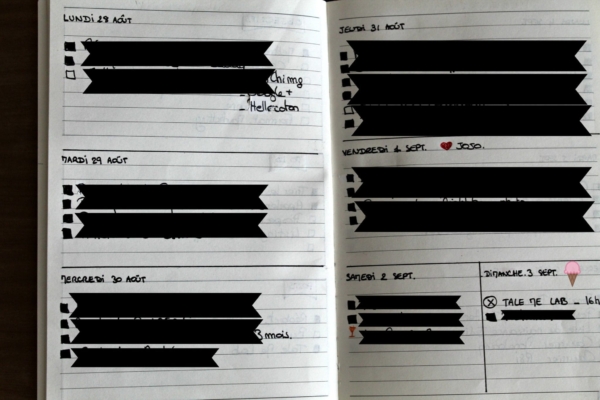 Mon Bullet Journal | The Funky Fresh Project